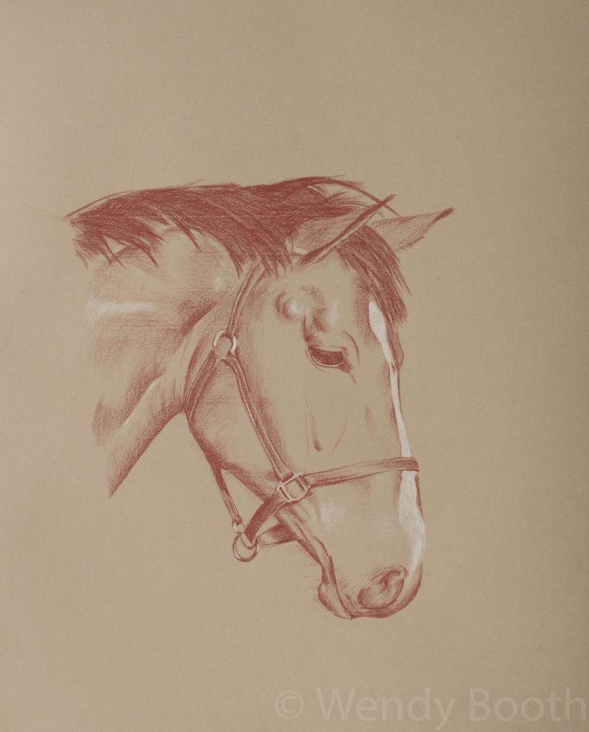 Cocoa - Wendy Booth: Portrait Artist