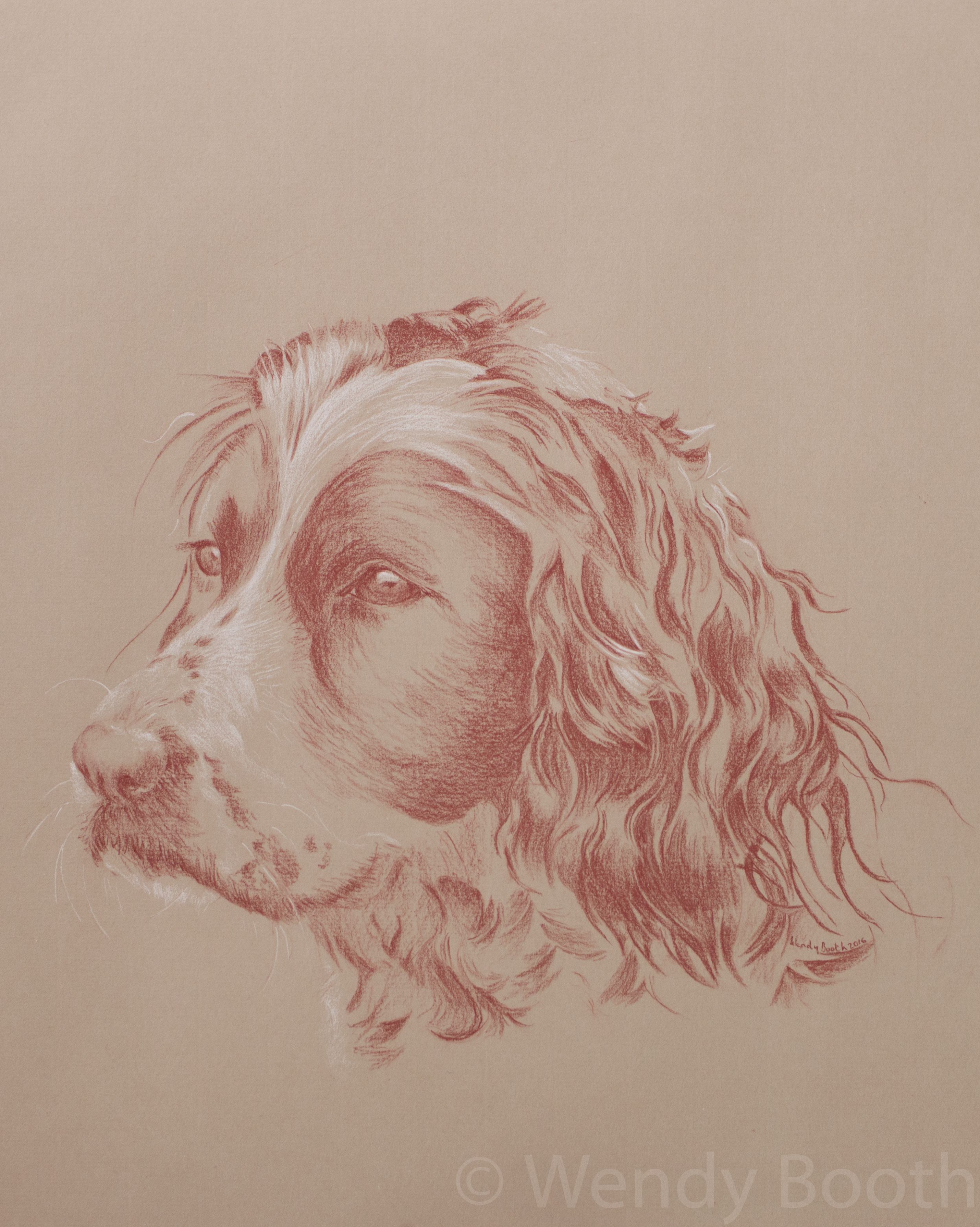 Spanner - Wendy Booth: Portrait Artist