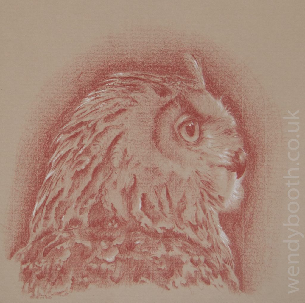 Eagle Owl | Wendy Booth: Portrait Artist